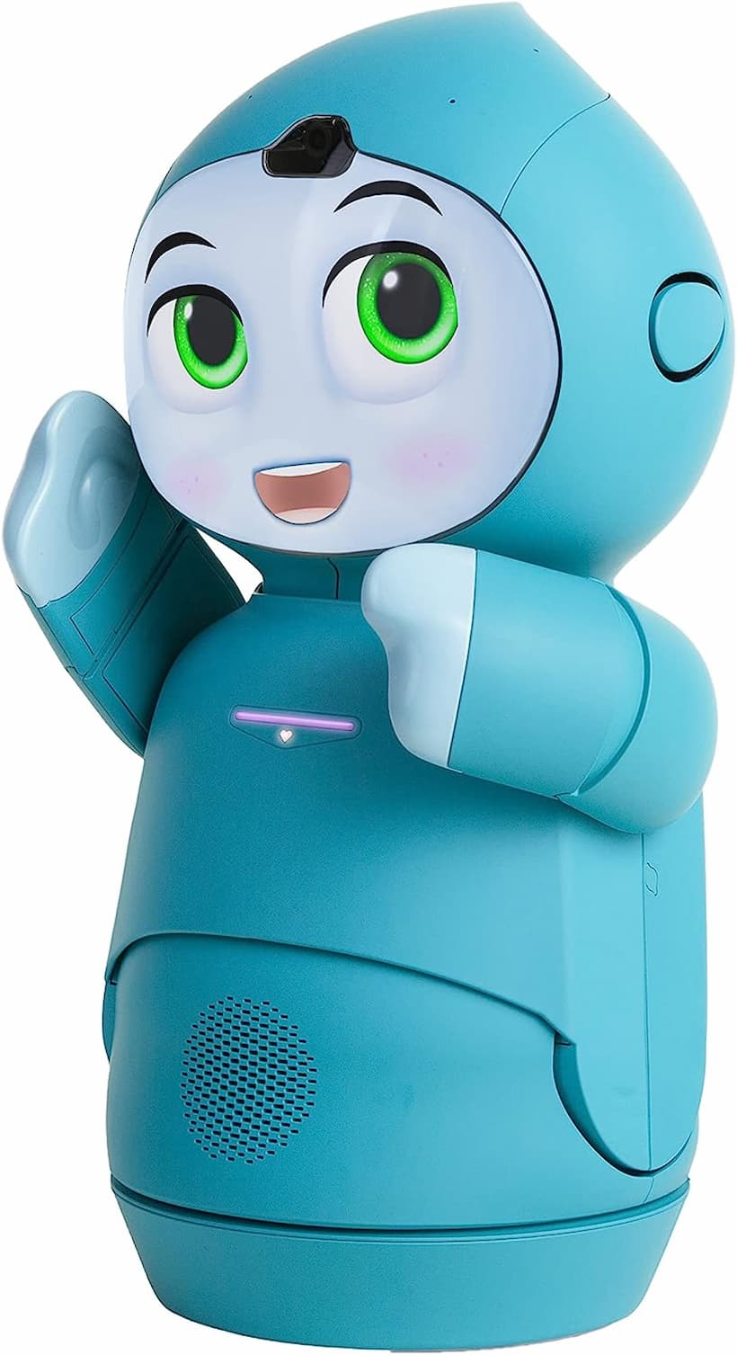 The Elite Ten: Personal Robots to Grab in 2024 - The Ai Connoisseur